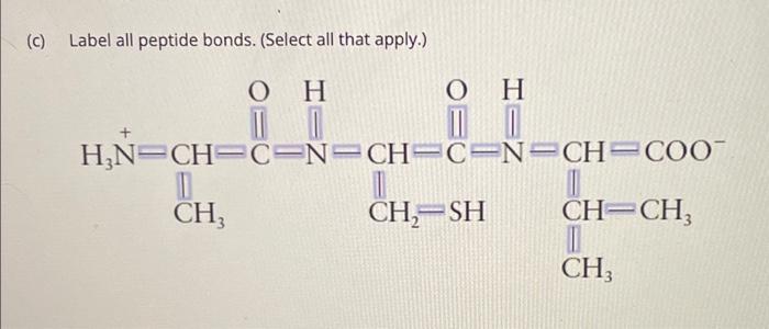 Solved (a) Label the N-terminal residue. (Select all that | Chegg.com