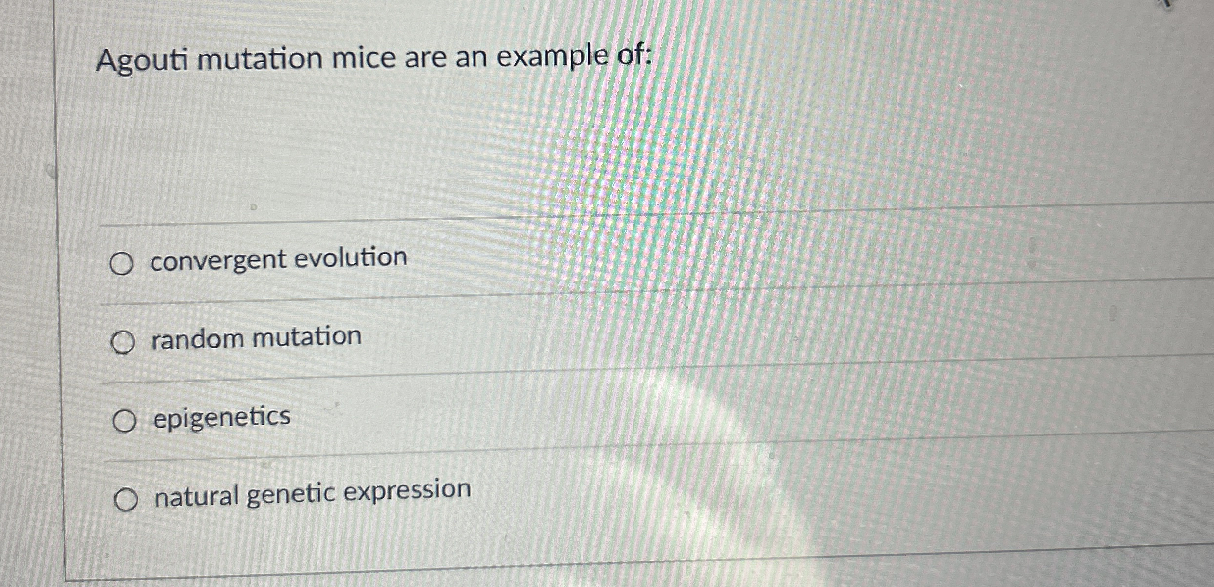 Solved Agouti mutation mice are an example of:convergent | Chegg.com