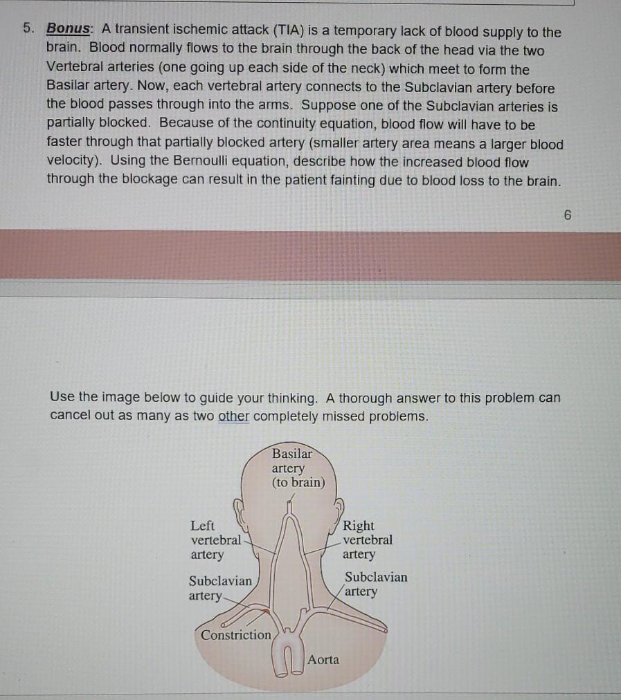 Solved 5. Bonus: A transient ischemic attack (TIA) is a | Chegg.com