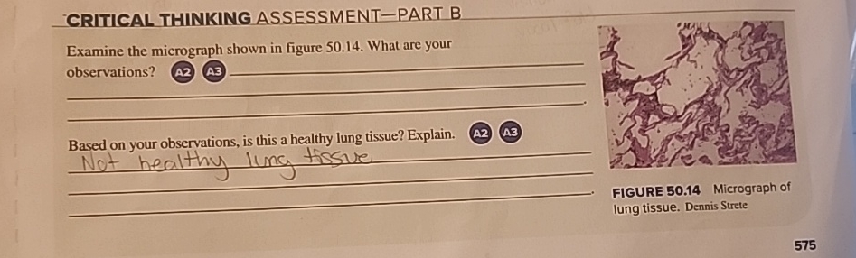 Solved CRITICAL THINKING ASSESSMENT-PART BExamine the | Chegg.com