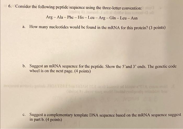 Solved 6. Consider the following peptide sequence using the | Chegg.com