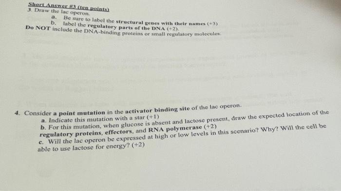 Solved Short Answer H3 (ten points) 3. Draw the lac operon. | Chegg.com
