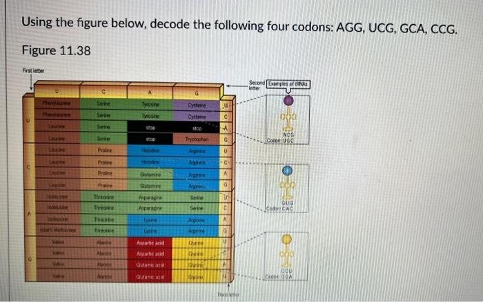 Solved Using the figure below, decode the following four | Chegg.com