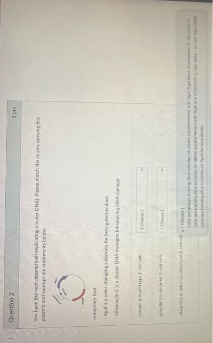 Solved You have the next plasmid (self-replicating circular | Chegg.com