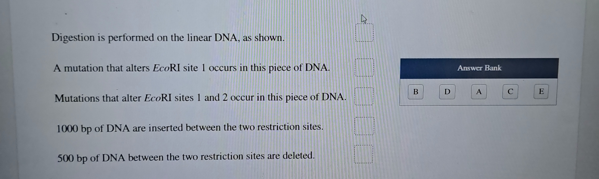 Solved Digestion is performed on the linear DNA, as shown.A | Chegg.com