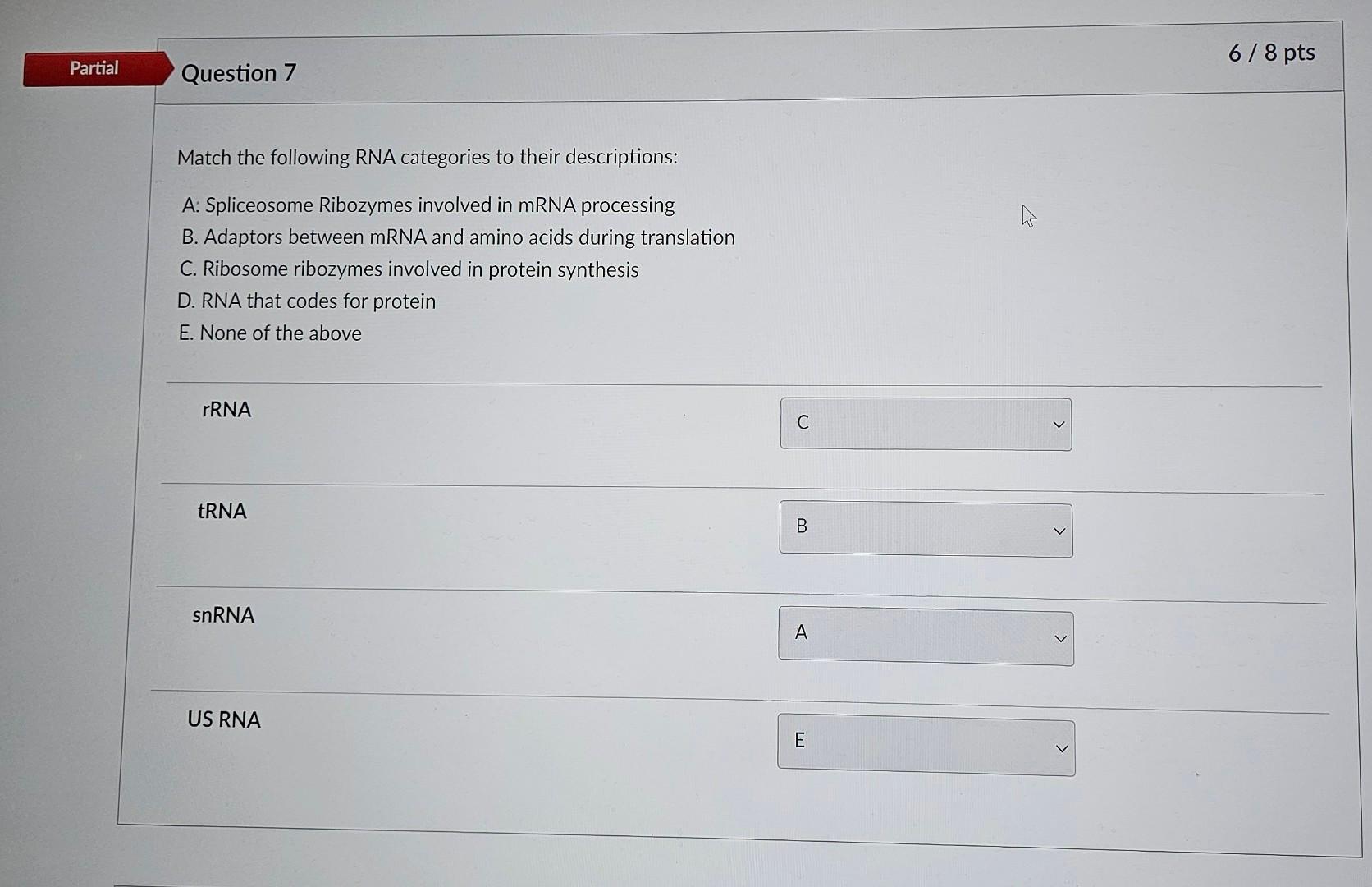 Solved Partial Question 7 6/8 pts Match the following RNA | Chegg.com