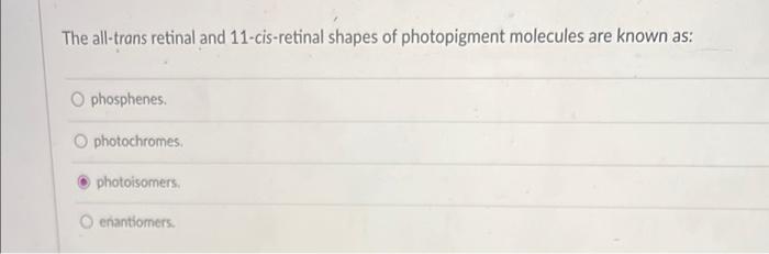 Solved The all-trans retinal and 11-cis-retinal shapes of | Chegg.com