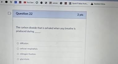 High Quality SOLUTION Question 222 ﻿ptsThe carbon dionide that is ahaled | Chegg.com