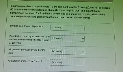 Solved In garden peo plants, purple flowers (P) ﻿are | Chegg.com