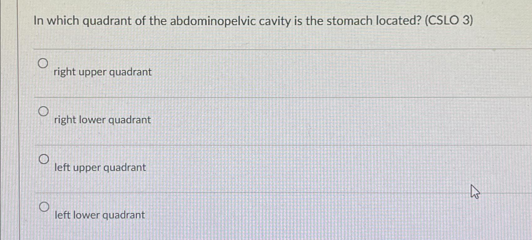 Solved In which quadrant of the abdominopelvic cavity is the | Chegg.com