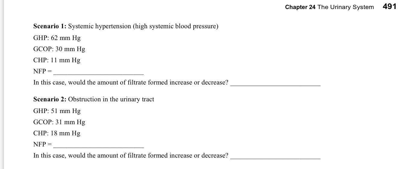 Solved Chapter 24 ﻿The Urinary System491Scenario 1: Systemic | Chegg.com