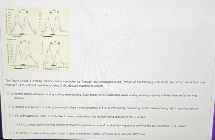 Solved This figure shows a working memory study conducted by | Chegg.com