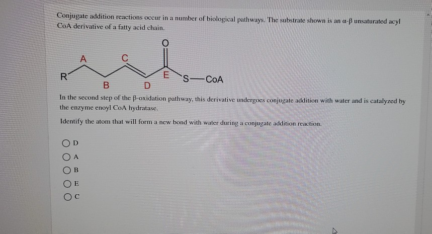 Solved Conjugate addition reactions occur in a number of | Chegg.com