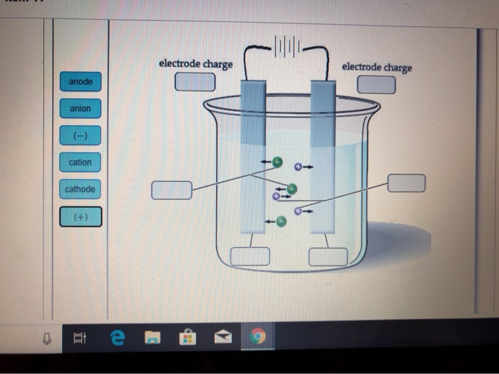 Solved electrode charge electrode charge anode anion cation | Chegg.com
