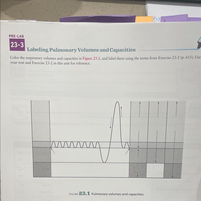 Solved Complete the following exercises prior to coming to | Chegg.com