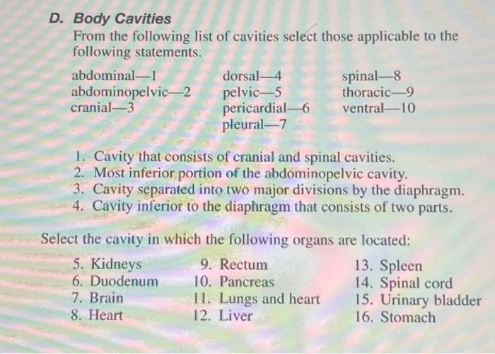Solved D. Body Cavities From the following list of cavities | Chegg.com