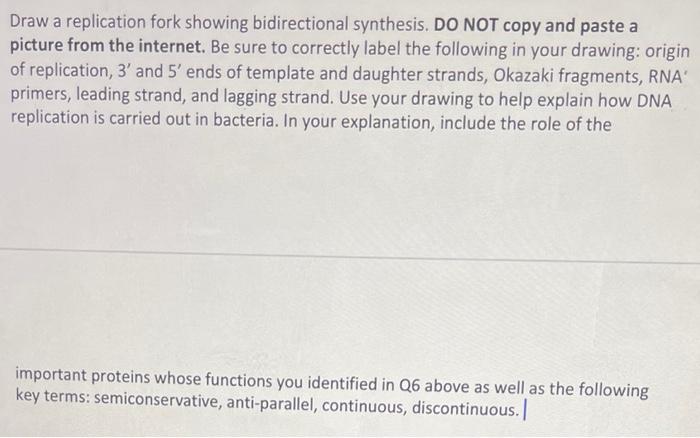 Solved Draw a replication fork showing bidirectional | Chegg.com