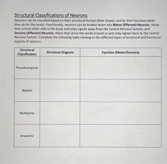 Solved Structural Classifications of Neurons Neurons can be | Chegg.com