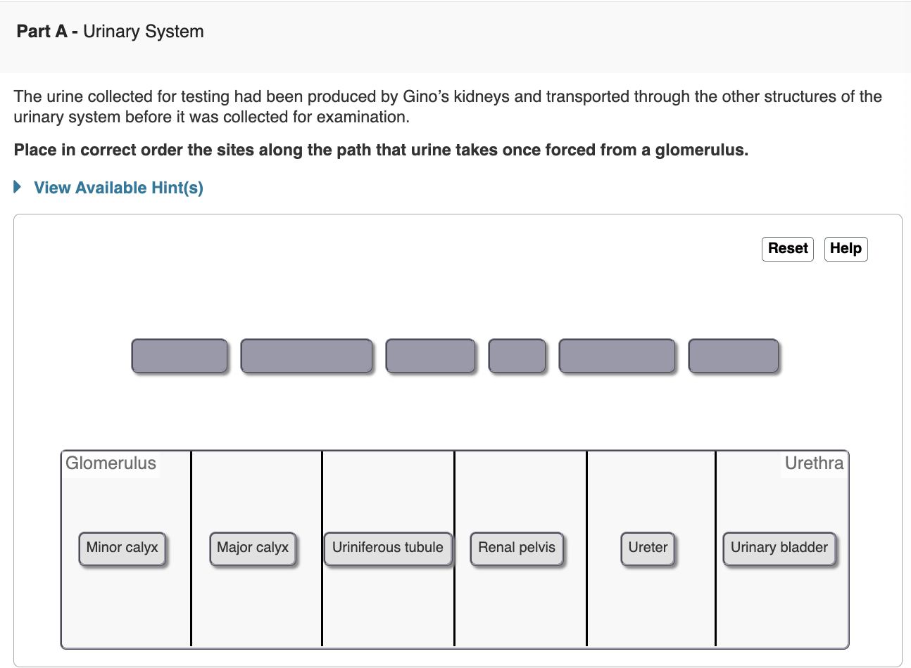 Solved Part A - ﻿Urinary SystemThe urine collected for | Chegg.com