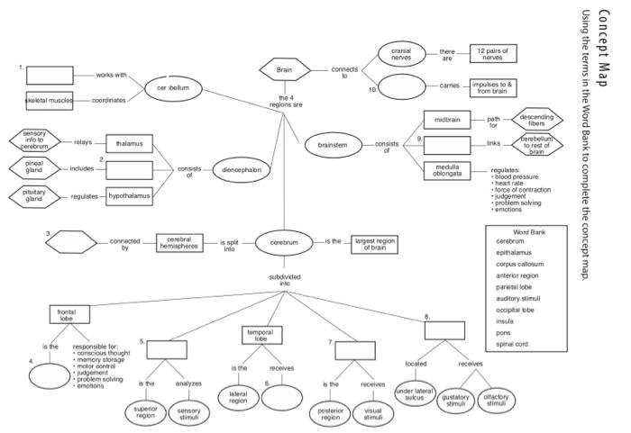 Solved please fill out the full concept map. | Chegg.com