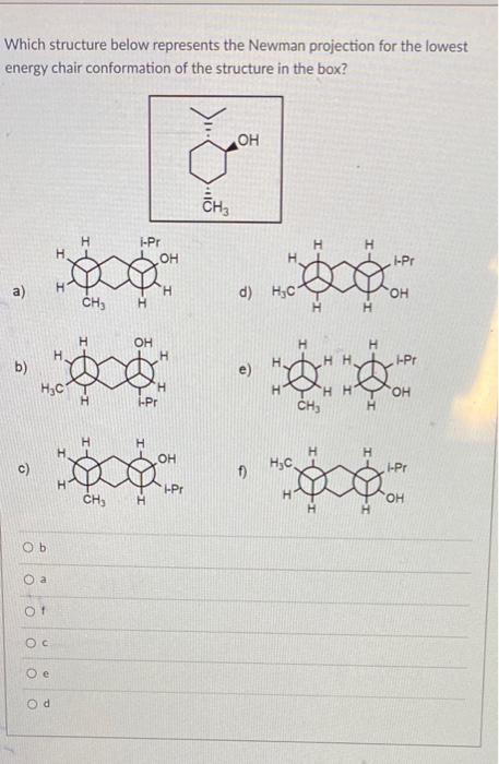 Solved Which structure below represents the Newman | Chegg.com