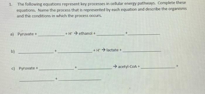Solved 1. The following equations represent key processes in | Chegg.com