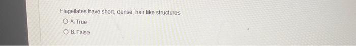 Solved Flagellates have short, dense, hair like structures | Chegg.com