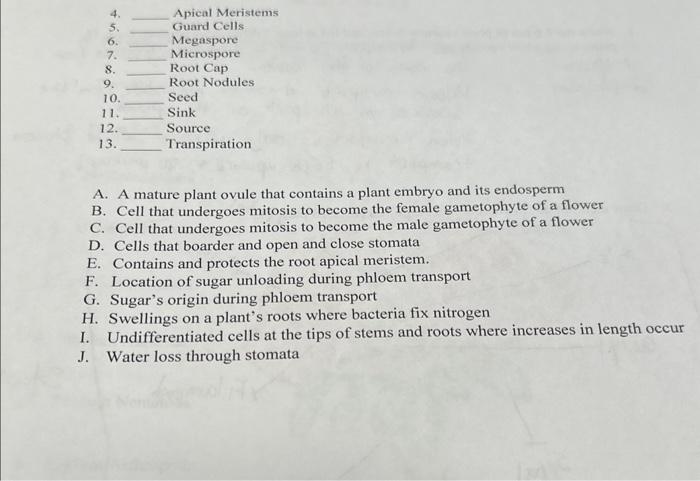 Solved 4. 5. Apical Meristems 6. Guard Cells 7. Megaspore 8. | Chegg.com