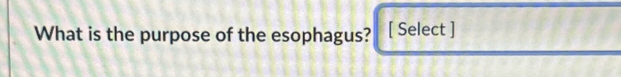 Solved What is the purpose of the esophagus?[ ﻿Select] | Chegg.com