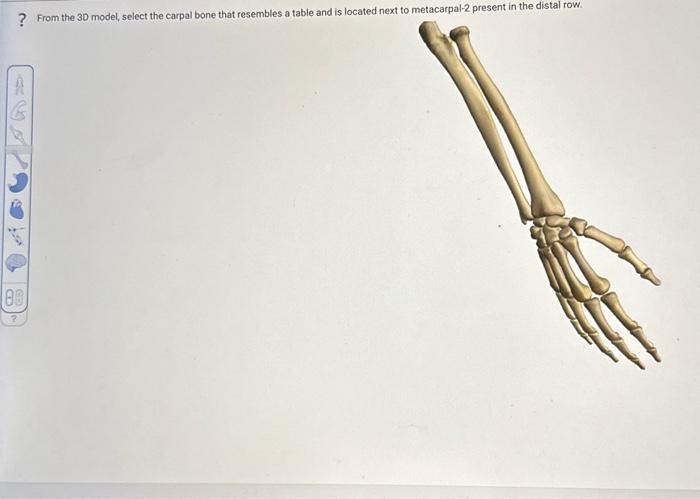 Solved ? From the 30 model, select the carpal bone that | Chegg.com