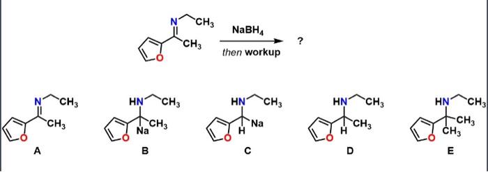 Solved then workup NaBH4 ? A B C D E | Chegg.com