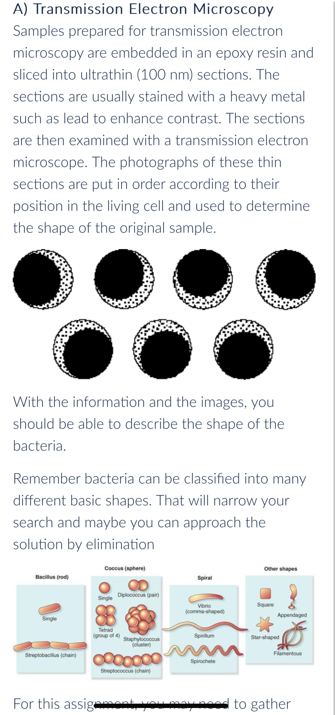 Solved A) ﻿Transmission Electron MicroscopySamples prepared | Chegg.com