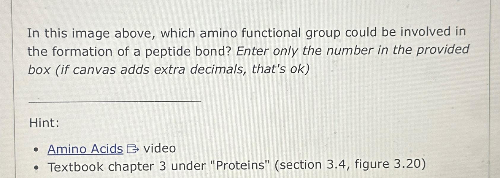 Solved In this image above, which amino functional group | Chegg.com
