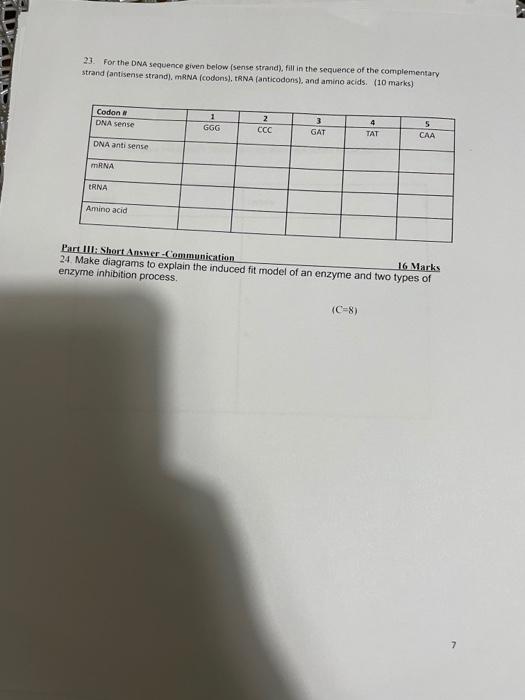 Solved 23. For the DNA sequence given below (sense strand), | Chegg.com