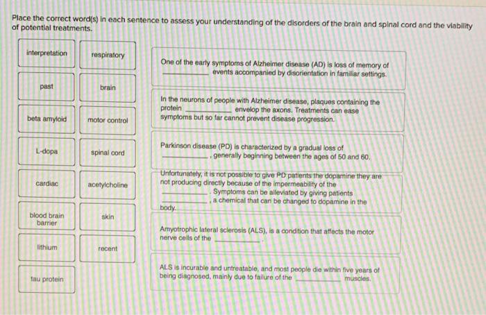 Solved Place the correct word(s) in each sentence to assess | Chegg.com