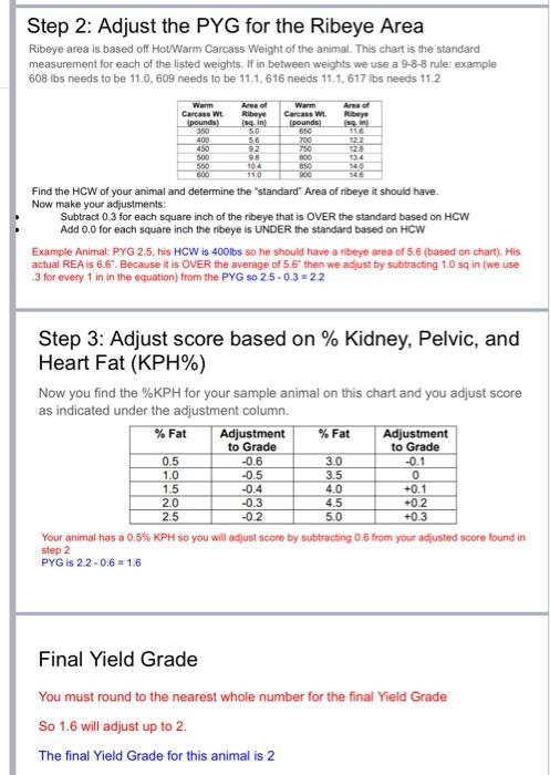Back WORKSHEET Yield GRADING CATTLE .docx WORKSHEET | Chegg.com
