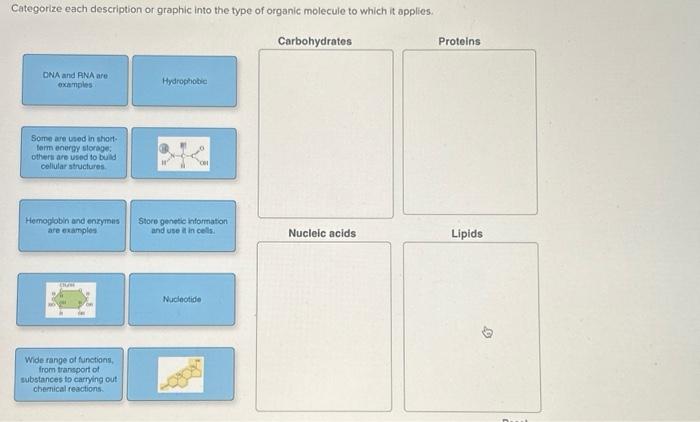 Solved Categorize each description or graphic into the type | Chegg.com Solved Categorize each description or graphic into the type | Chegg.com