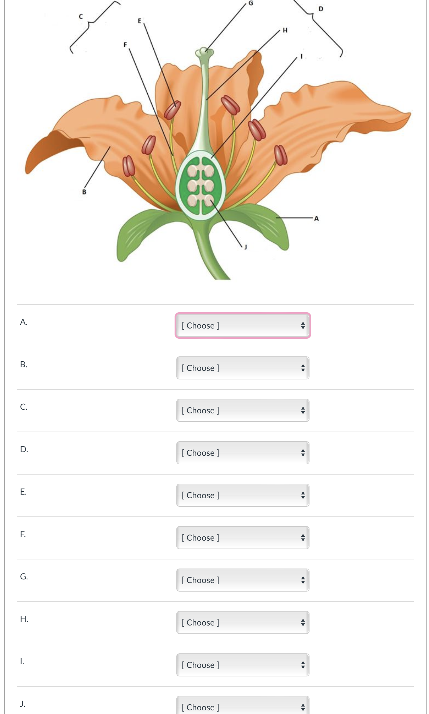 Examine the diagram of flower anatomy below. Match | Chegg.com