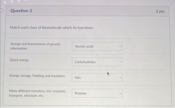 Solved Match each class of biomolecule which its functions. | Chegg.com