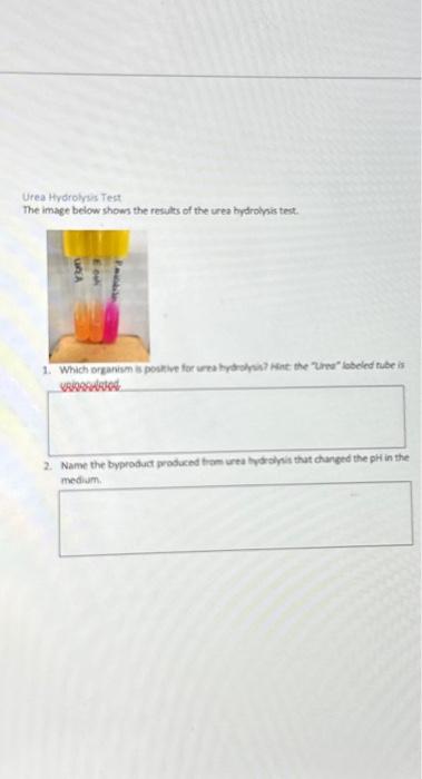 Solved 1. Explain how the Simmons Citrate agar changed | Chegg.com