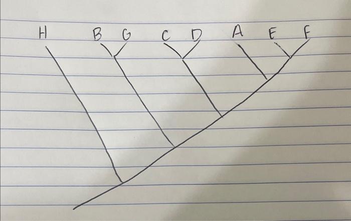 Solved Could I have help with adding the traits from the | Chegg.com