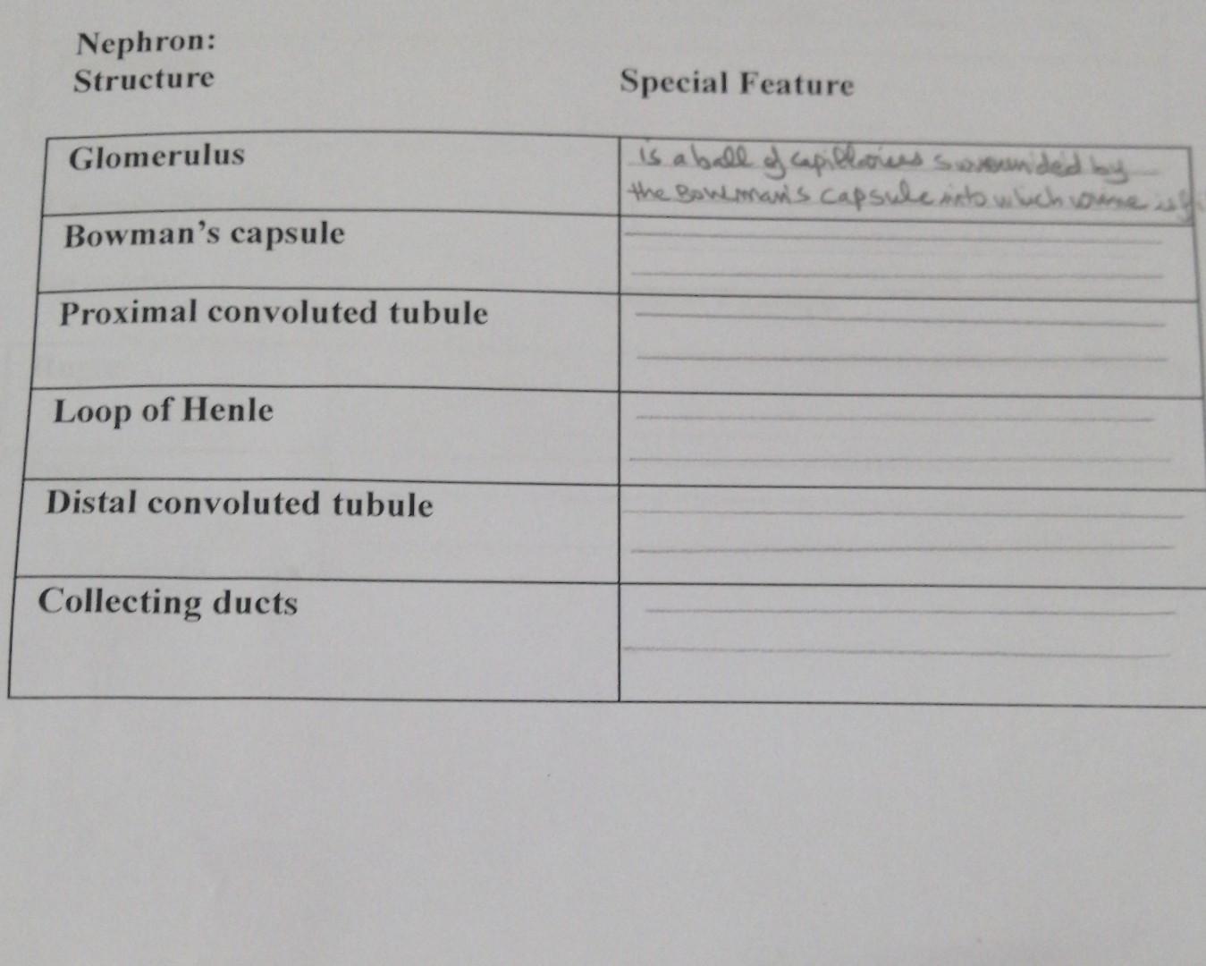 Solved Nephron: Structure Special Feature Glomerulus a is a | Chegg.com