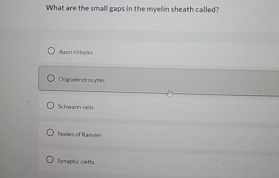 Solved What are the small gaps in the myelin sheath | Chegg.com