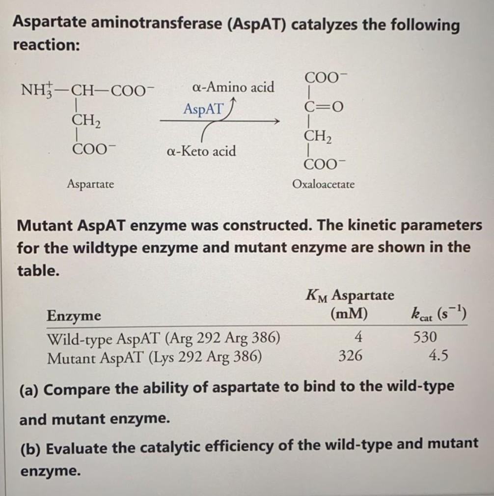 Solved Aspartate aminotransferase (AspAT) catalyzes the | Chegg.com
