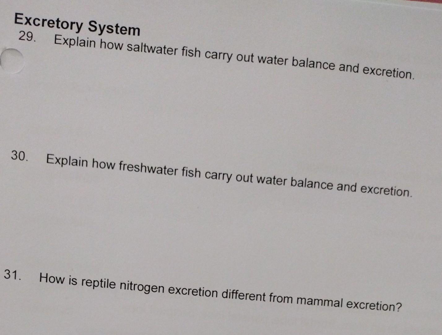 Solved Excretory System 29. Explain how saltwater fish carry | Chegg.com
