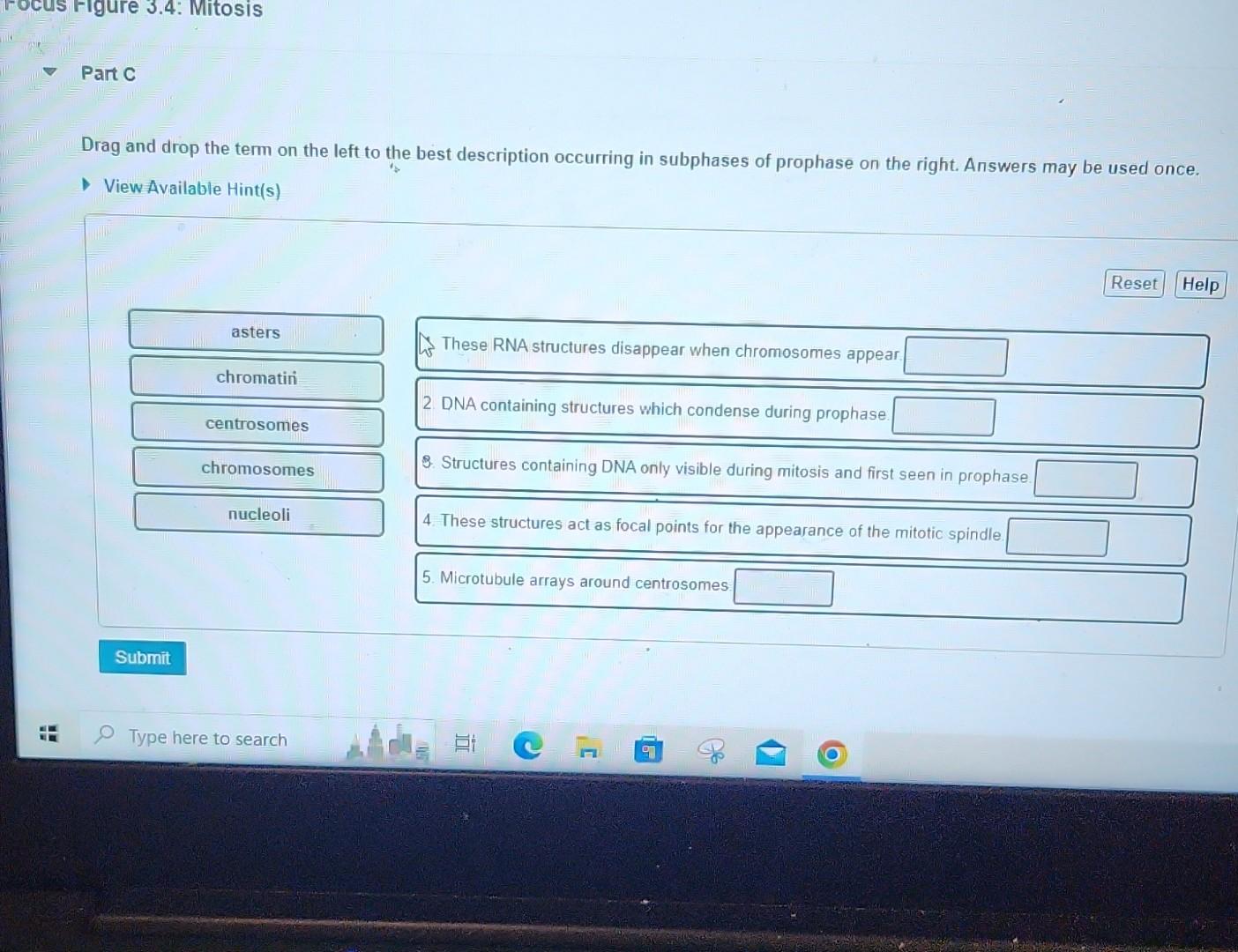 Solved Drag and drop the term on the left to the best | Chegg.com