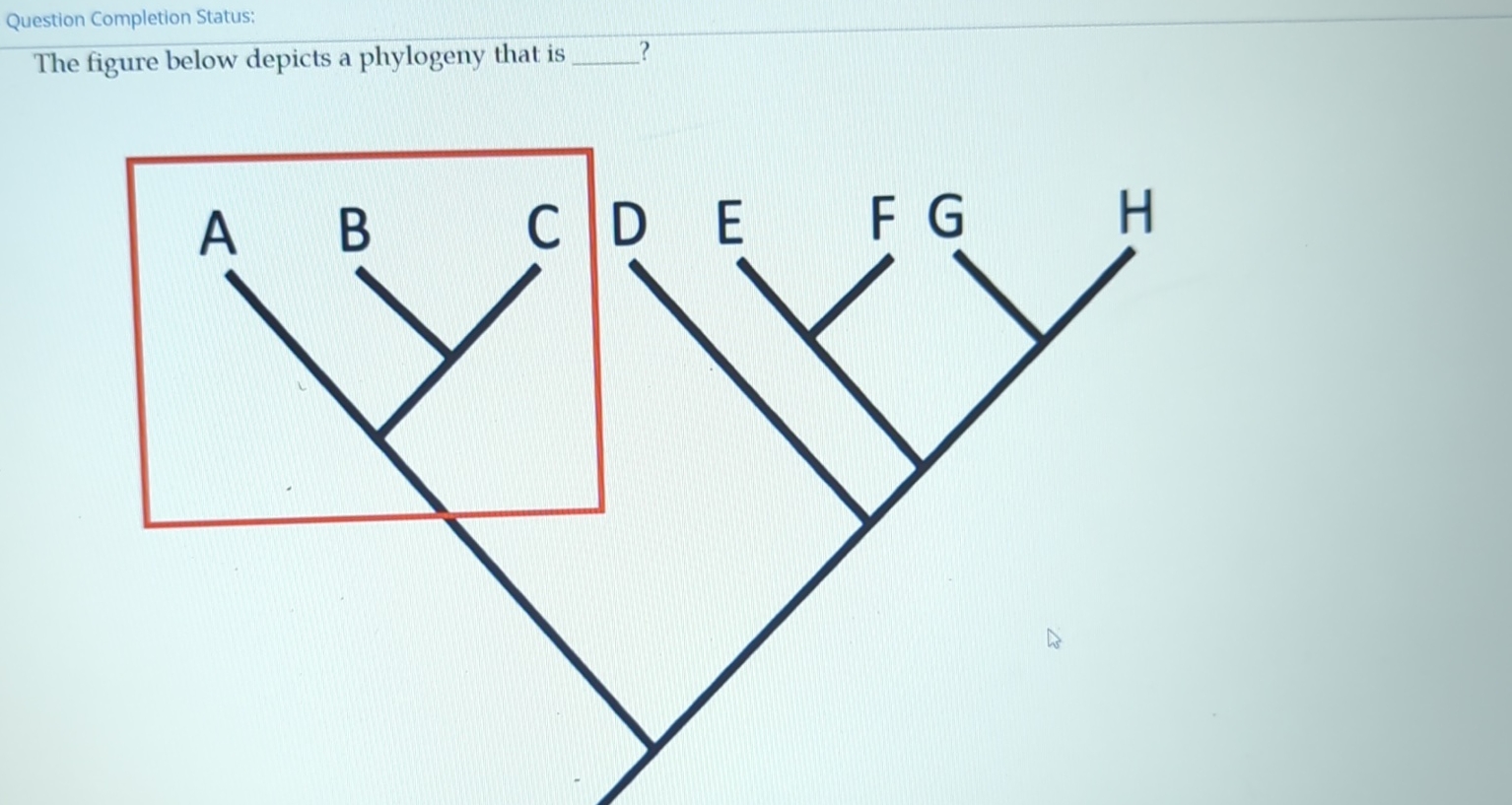 Solved The figure below depicts a phylogeny that is | Chegg.com