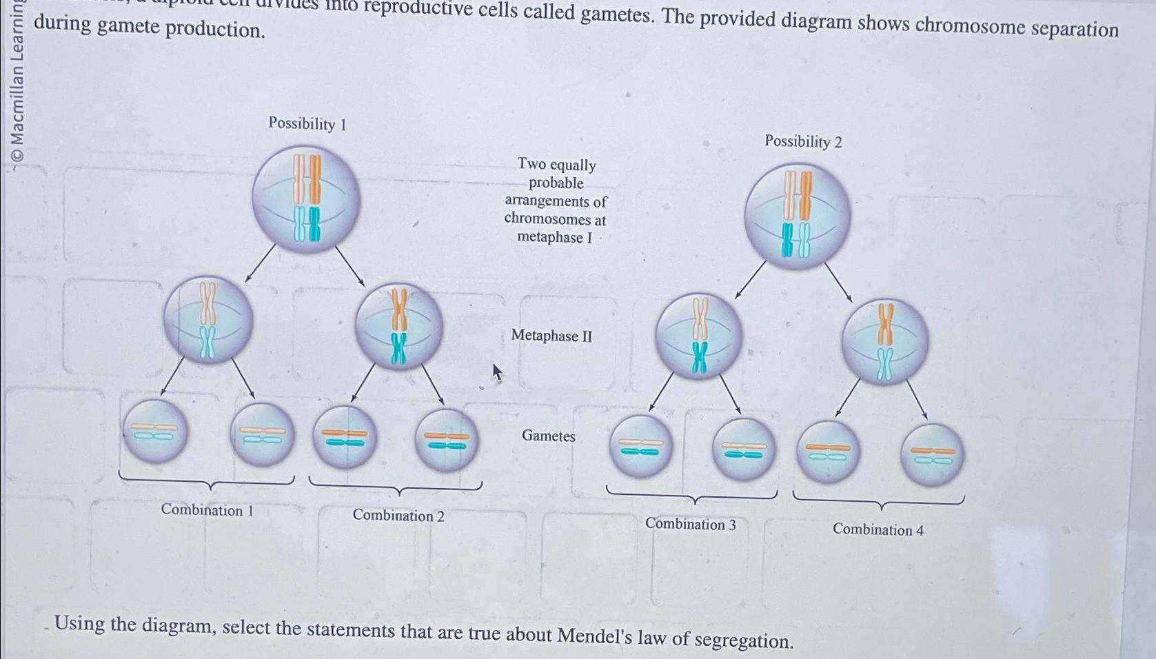 Solved 㪣 ﻿during gamete production.into reproductive cells | Chegg.com