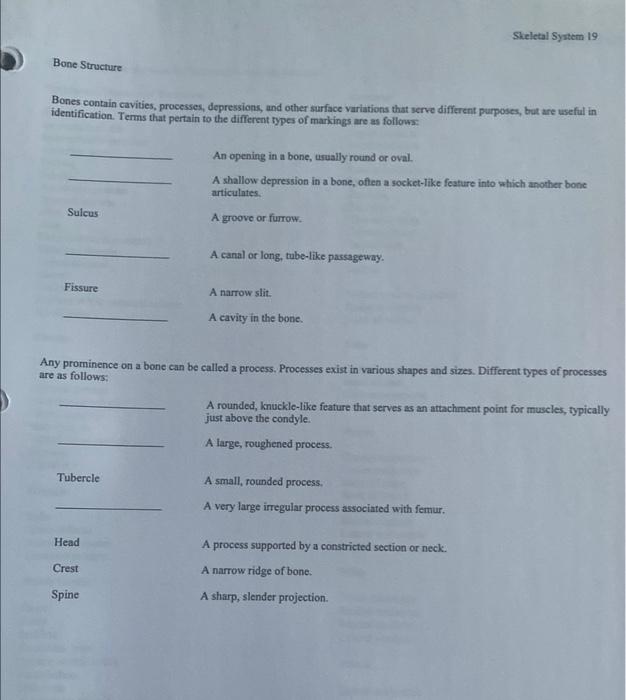 Solved Skeletal System 19 Bone Structure Bones contain | Chegg.com
