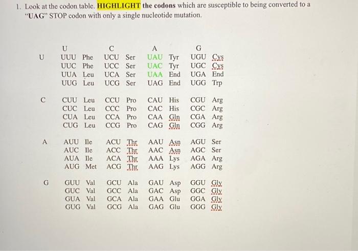 Solved 1. Look at the codon table. HIGHLIGHT the codons | Chegg.com